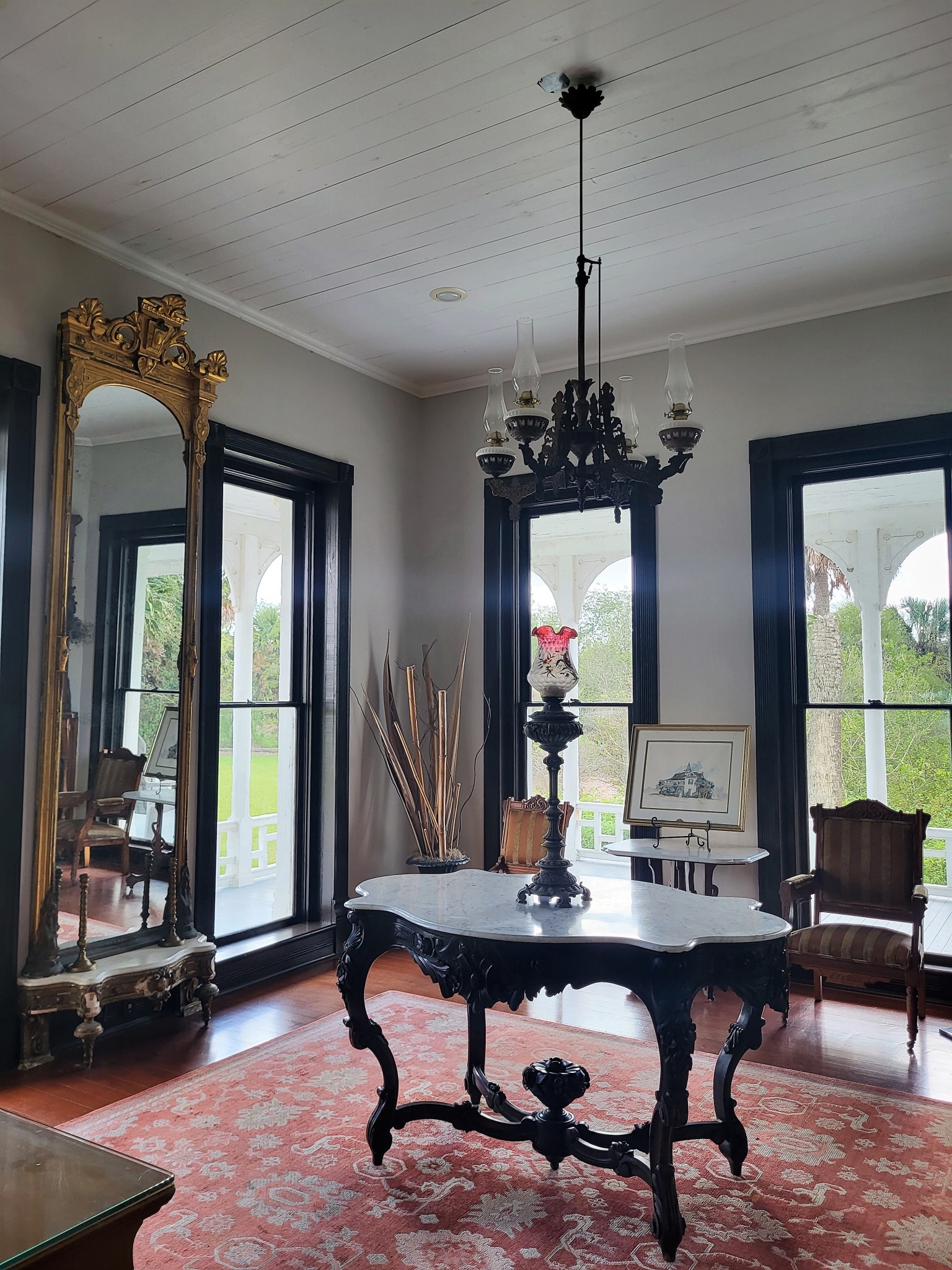 Tacos, Birds and Nature in the RGV – Cactus in the Mirror